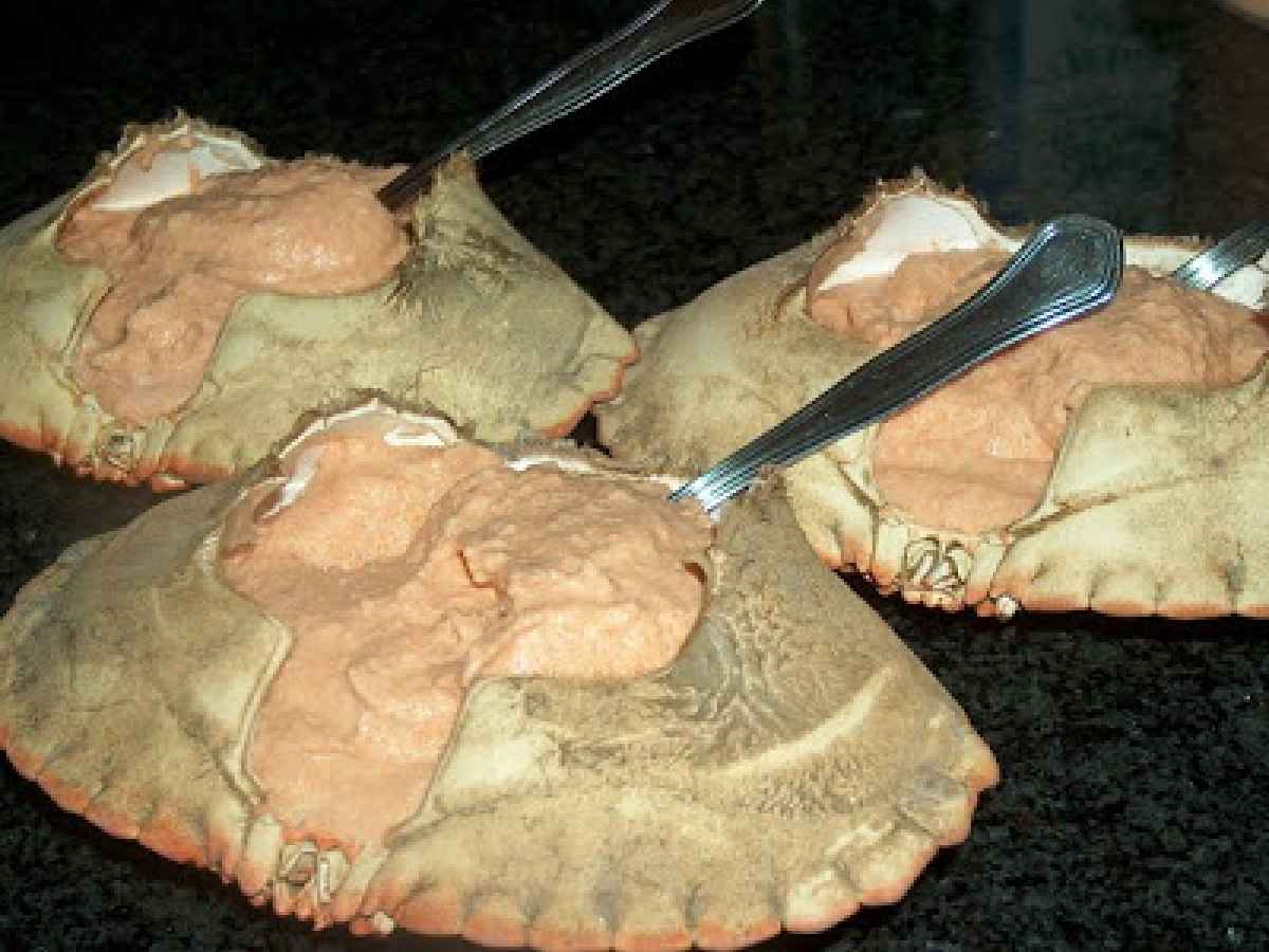 Receitas de sapateira - 10 receitas - Petitchef